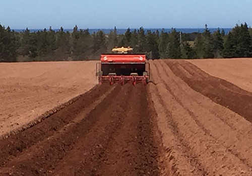 Planter Basket Hiller | Allan Equipment | Product Details
